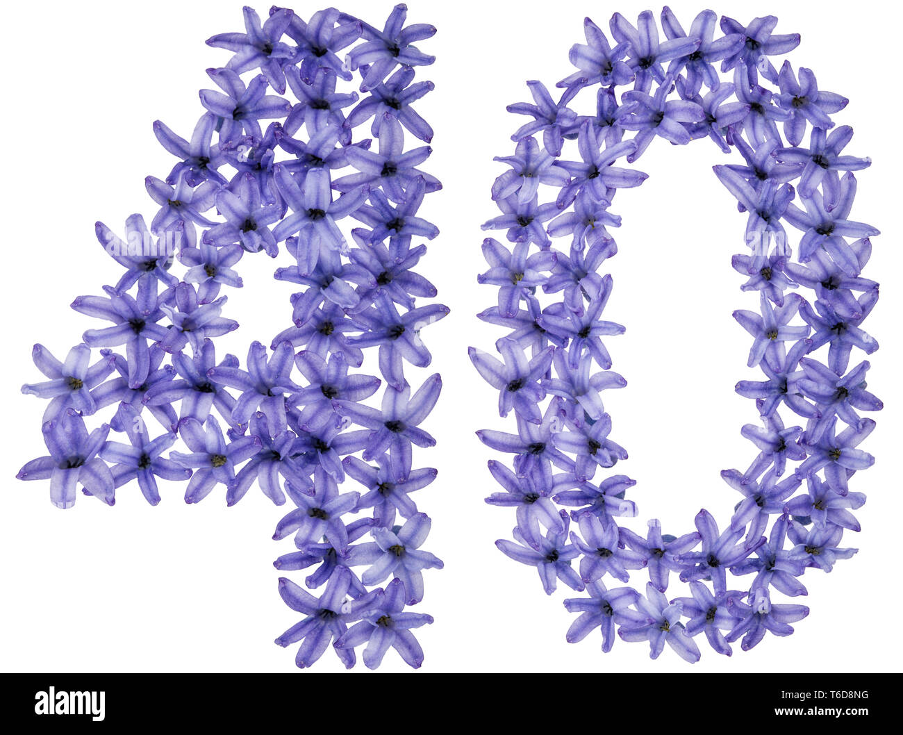 Numeral 40, forty, four, from natural flowers of hyacinth, isolated on ... Numeral 40, forty, four, from natural flowers of hyacinth, isolated on ...