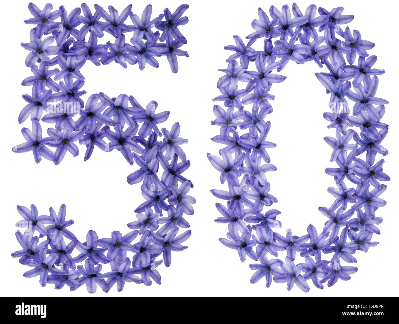 Numeral 50, fifty, from natural flowers of hyacinth, isolated on white ...