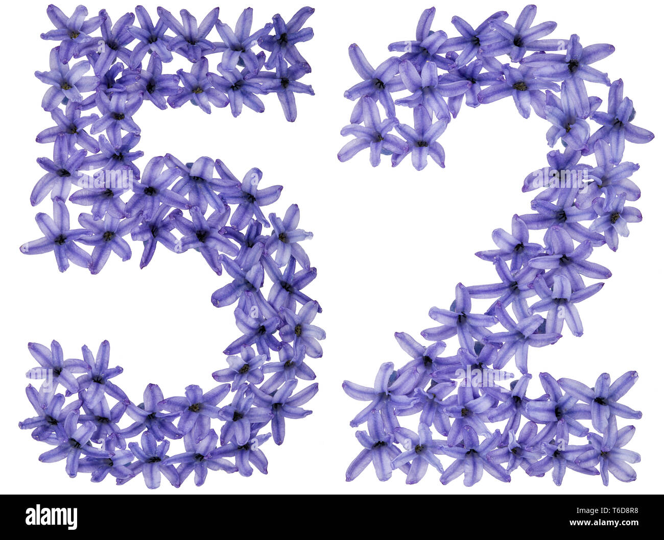 Numeral 52, fifty two, from natural flowers of hyacinth, isolated on ...