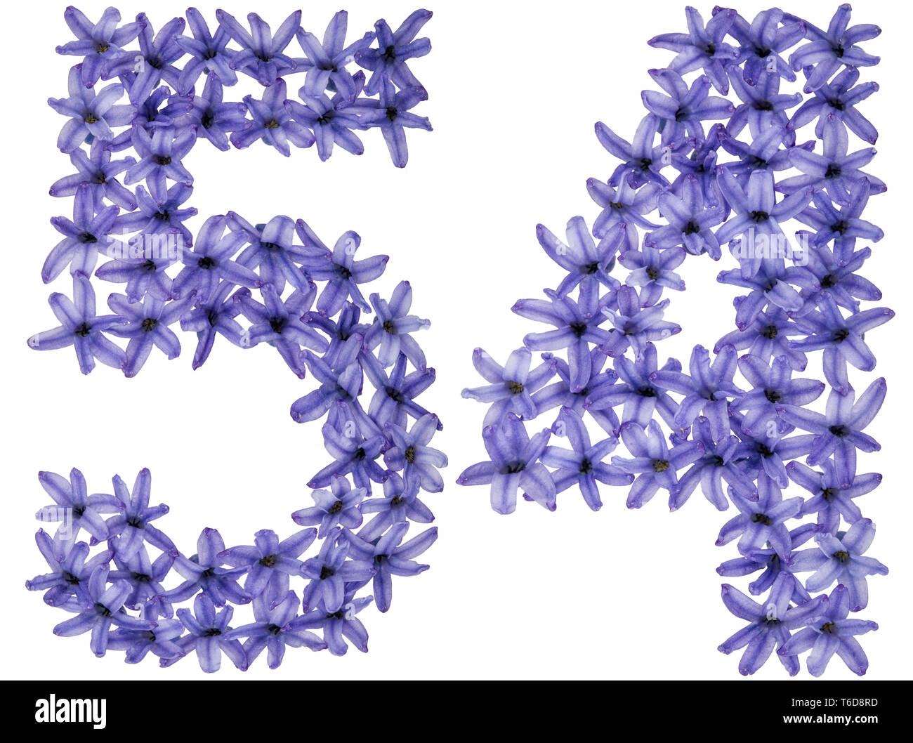 Numeral 54, fifty four, from natural flowers of hyacinth, isolated on ...