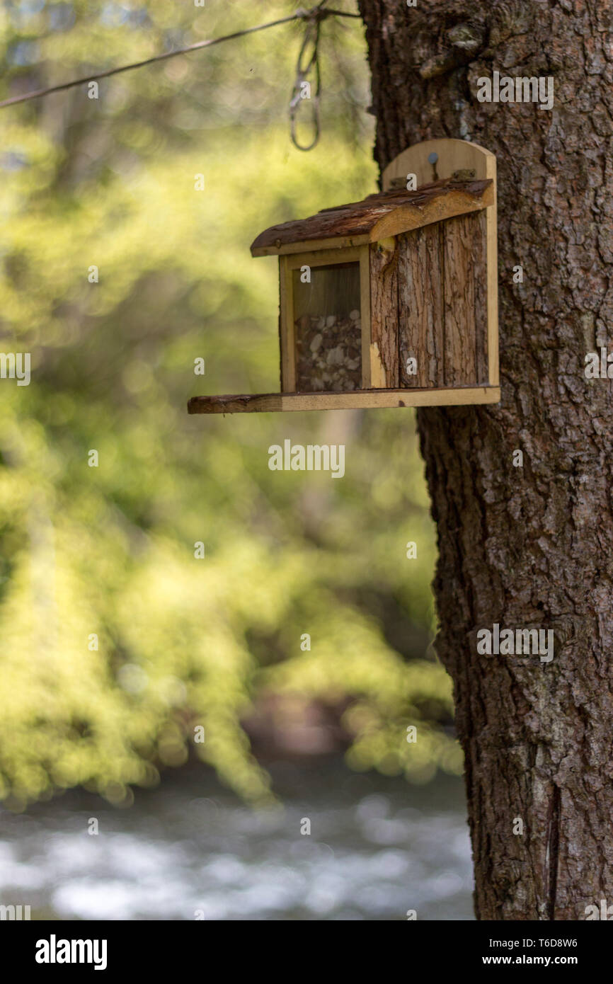 Plant feeder hi-res stock photography and images - Alamy