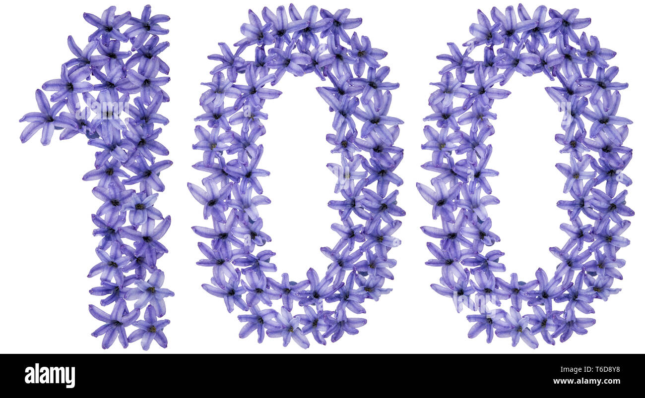 Numeral 100, one hundred, from natural flowers of hyacinth, isolated on ...