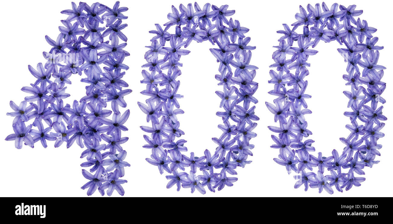 Numeral 400, four hundred, from natural flowers of hyacinth, isolated ...