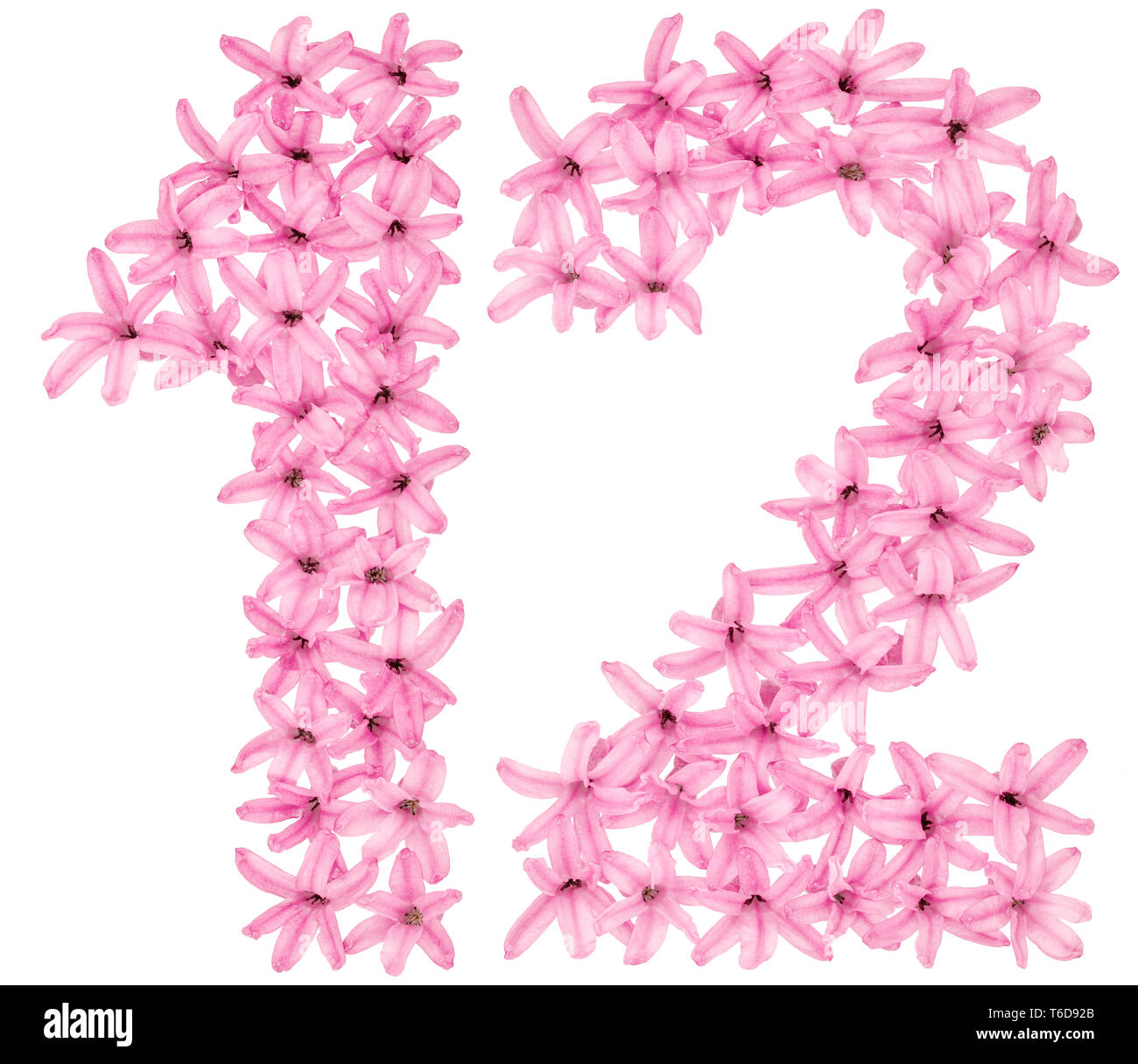 Numeral 12, twelve, from natural flowers of hyacinth, isolated on white ...