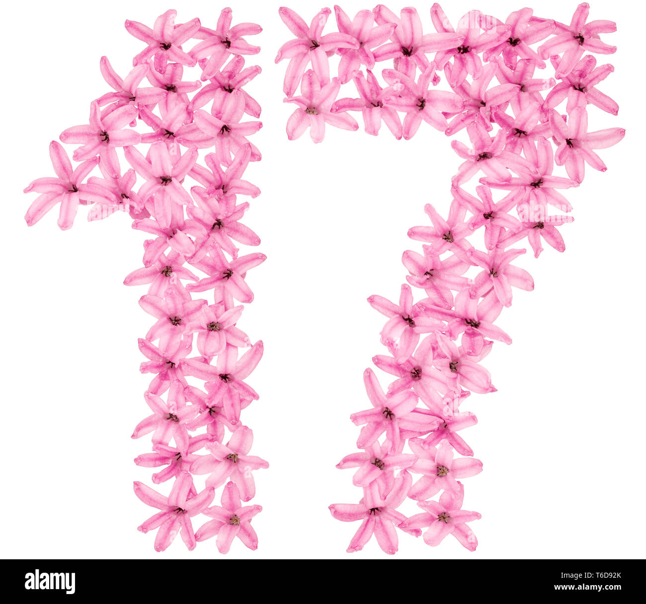 Numeral 17, seventeen, from natural flowers of hyacinth, isolated on ...