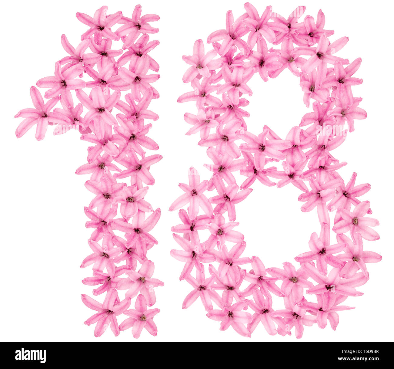 Numeral 18, eighteen, from natural flowers of hyacinth, isolated on ...