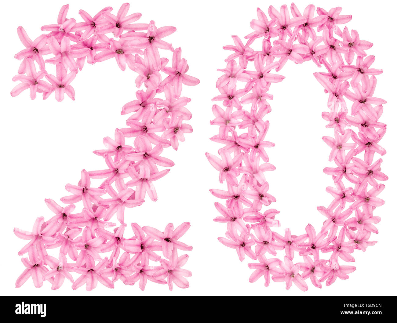 Numeral 20, twenty, from natural flowers of hyacinth, isolated on white ...