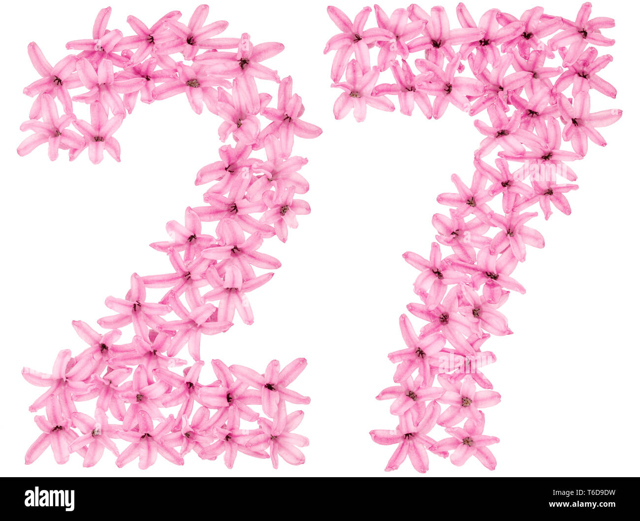 Numeral 27, twenty seven, from natural flowers of hyacinth, isolated on ...