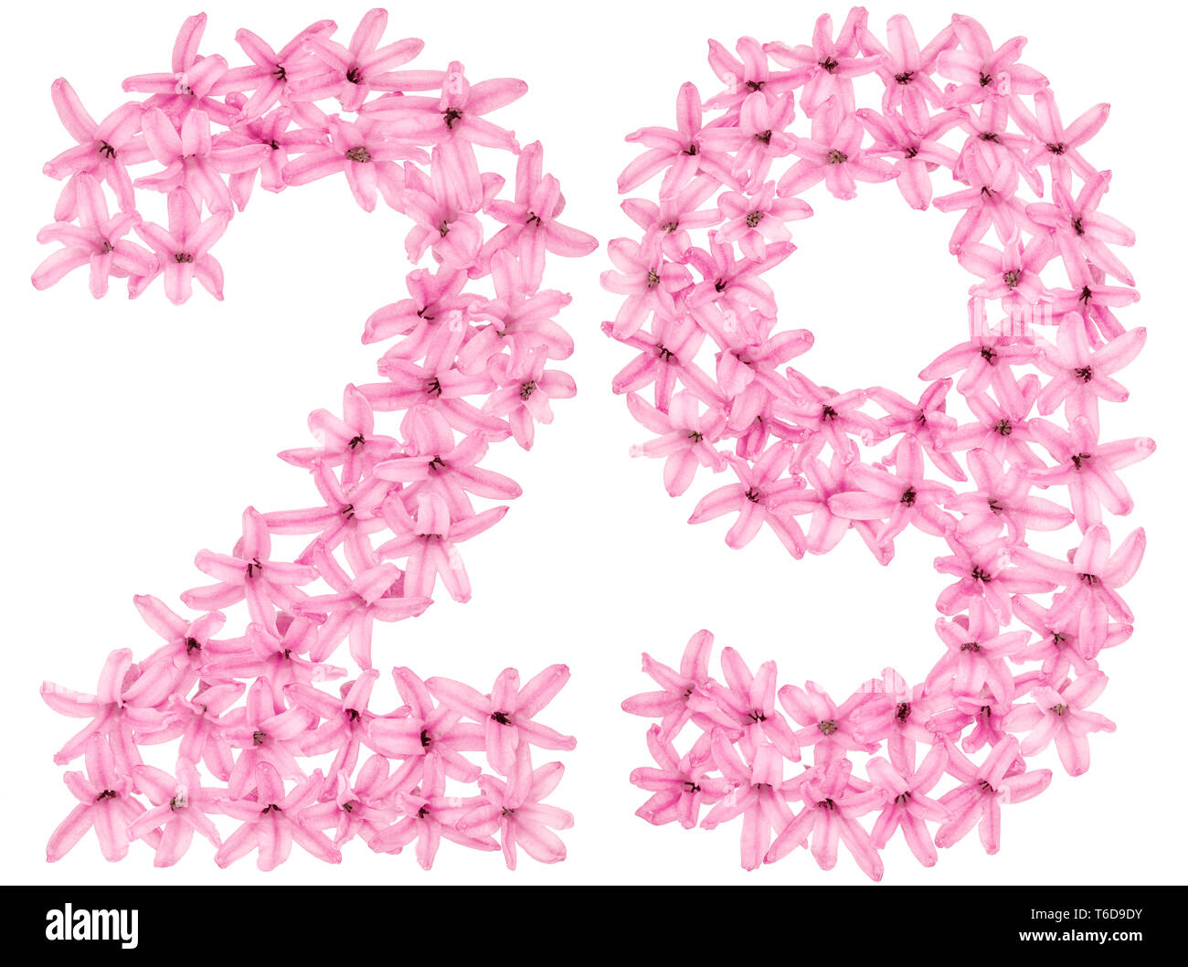Numeral 29, twenty nine, from natural flowers of hyacinth, isolated on ...