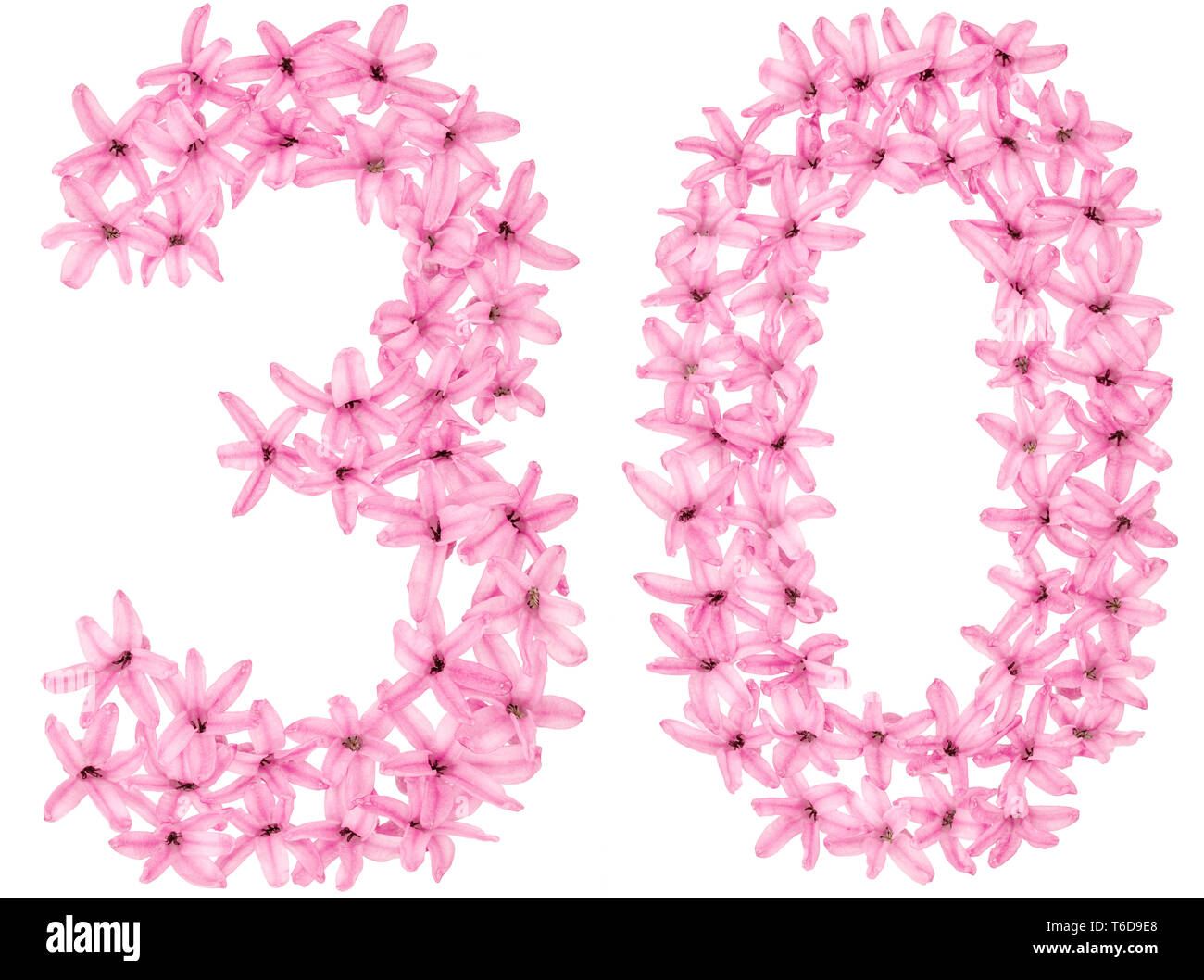 Numeral 30, thirty, from natural flowers of hyacinth, isolated on white ...