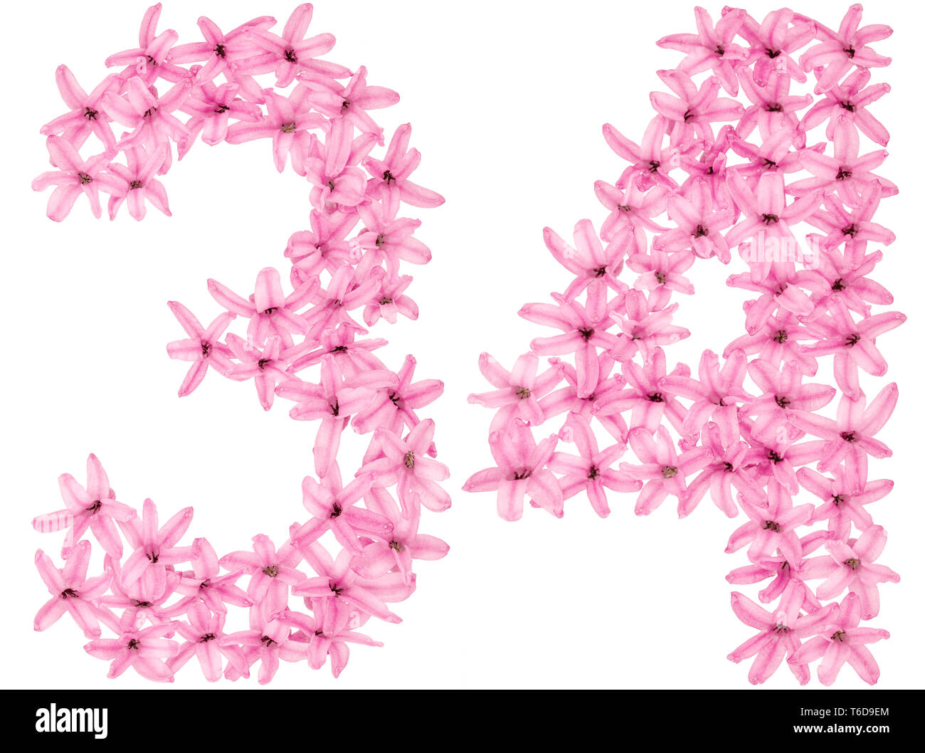 Numeral 34, thirty four, from natural flowers of hyacinth, isolated on ...