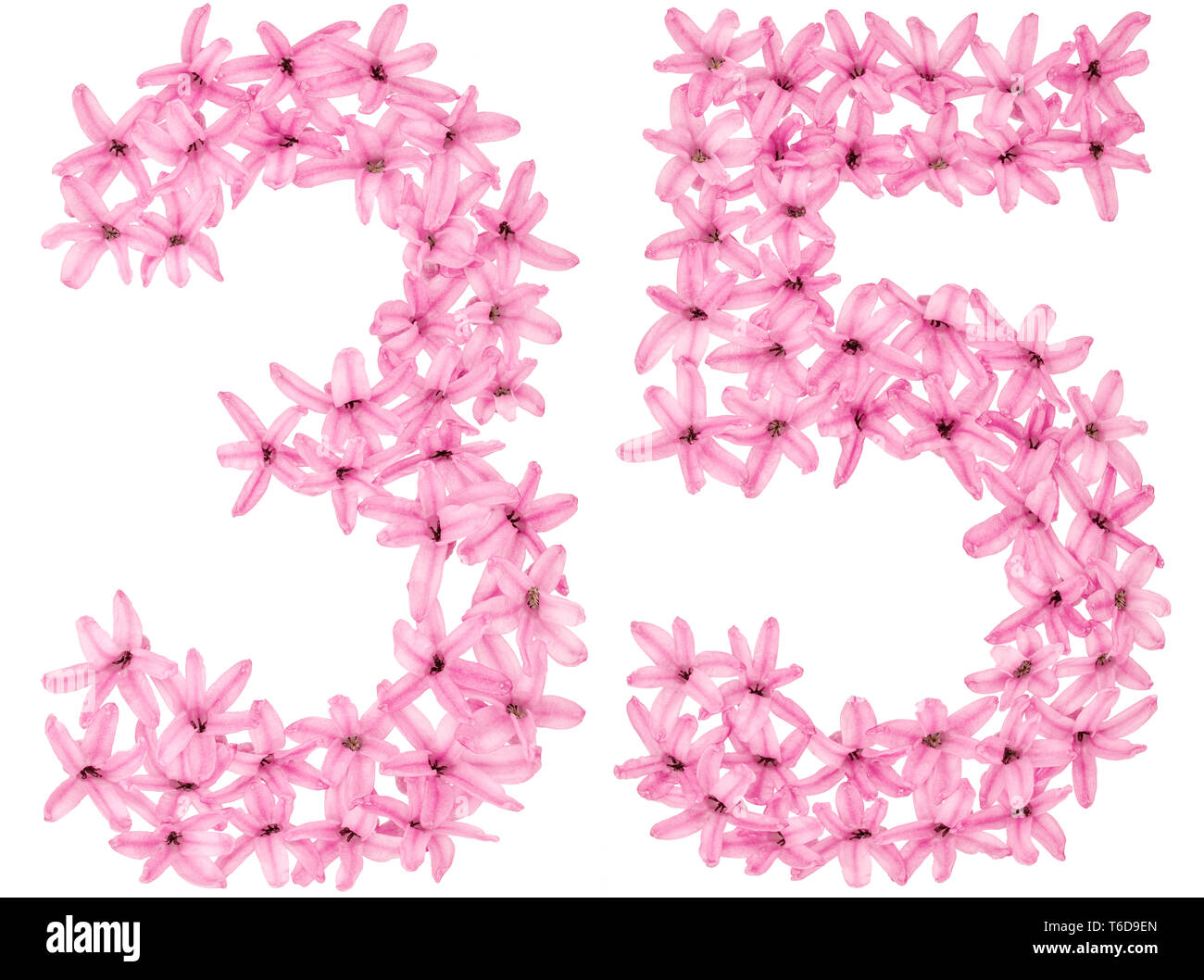 Numeral 35, thirty five, from natural flowers of hyacinth, isolated on ...