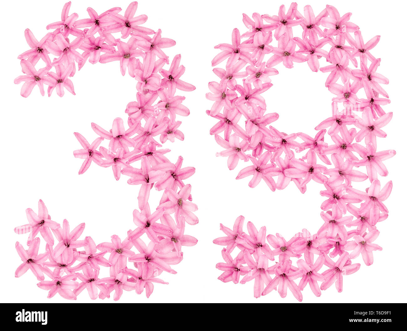 Numeral 39, thirty nine, from natural flowers of hyacinth, isolated on ...