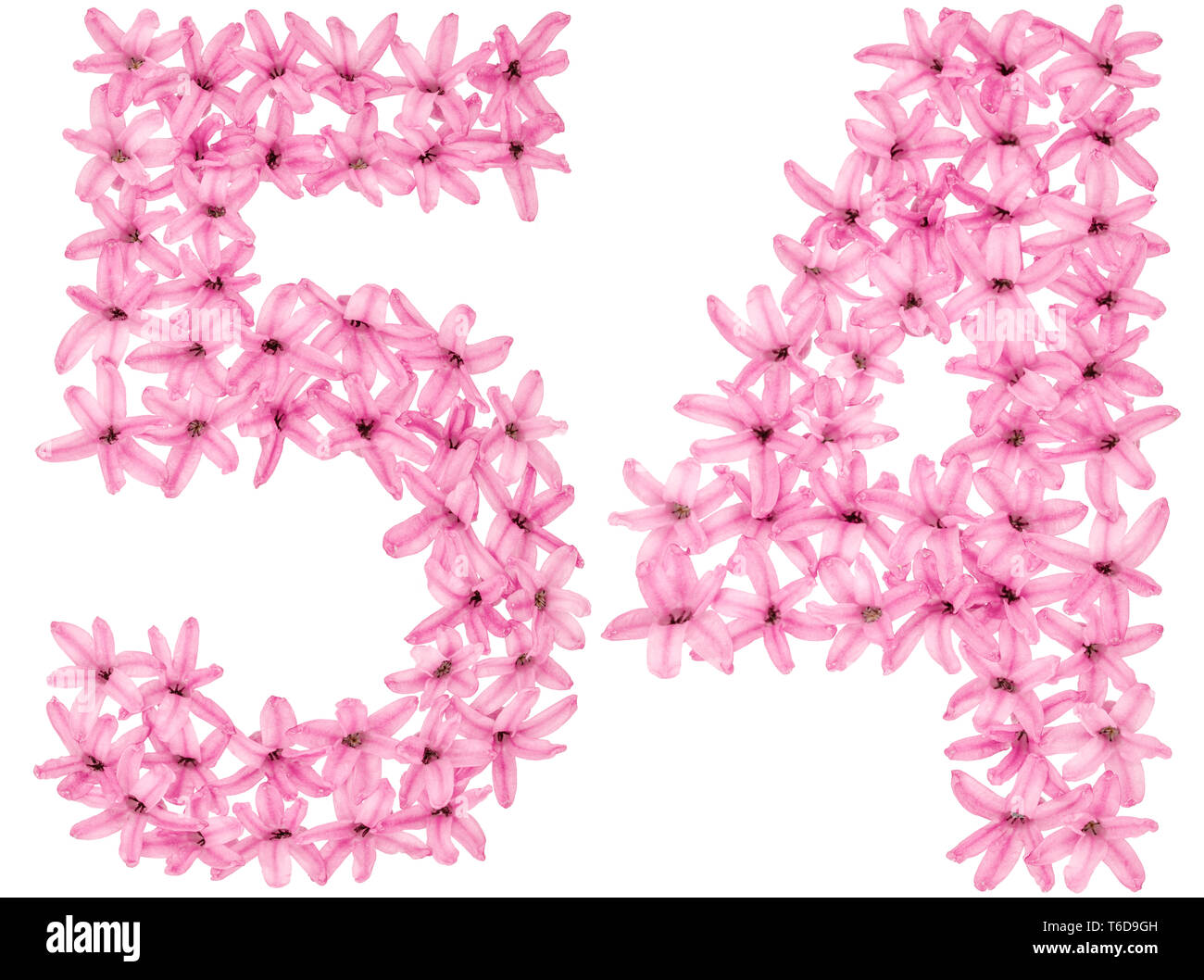 Numeral 54, fifty four, from natural flowers of hyacinth, isolated on ...