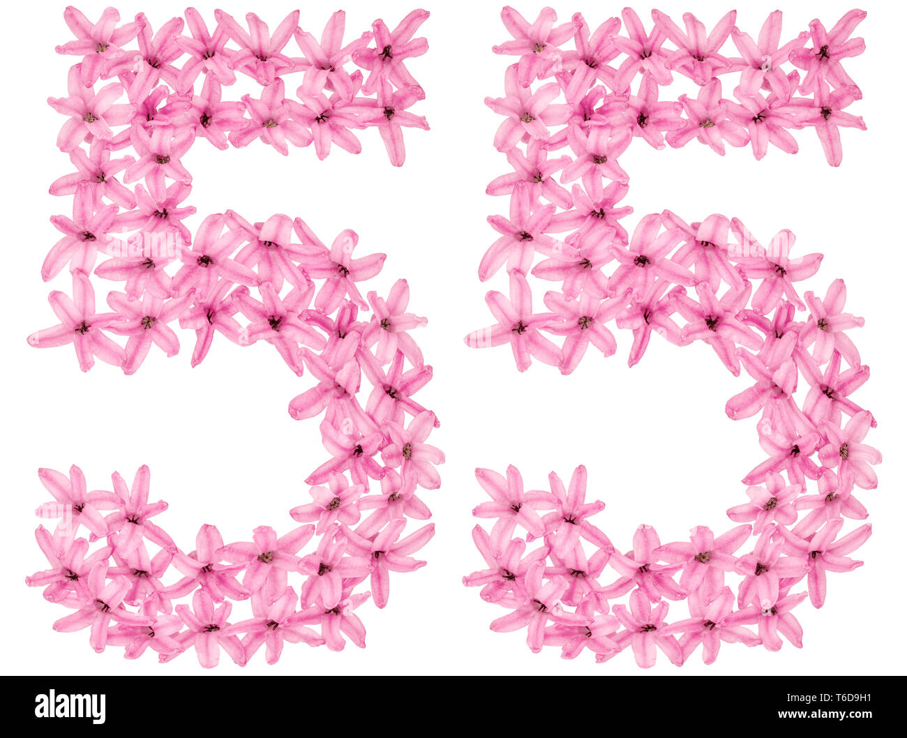 Numeral 55, fifty five, from natural flowers of hyacinth, isolated on ...