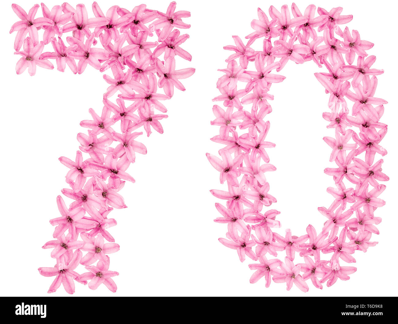 Numeral 70, seventy, from natural flowers of hyacinth, isolated on ...