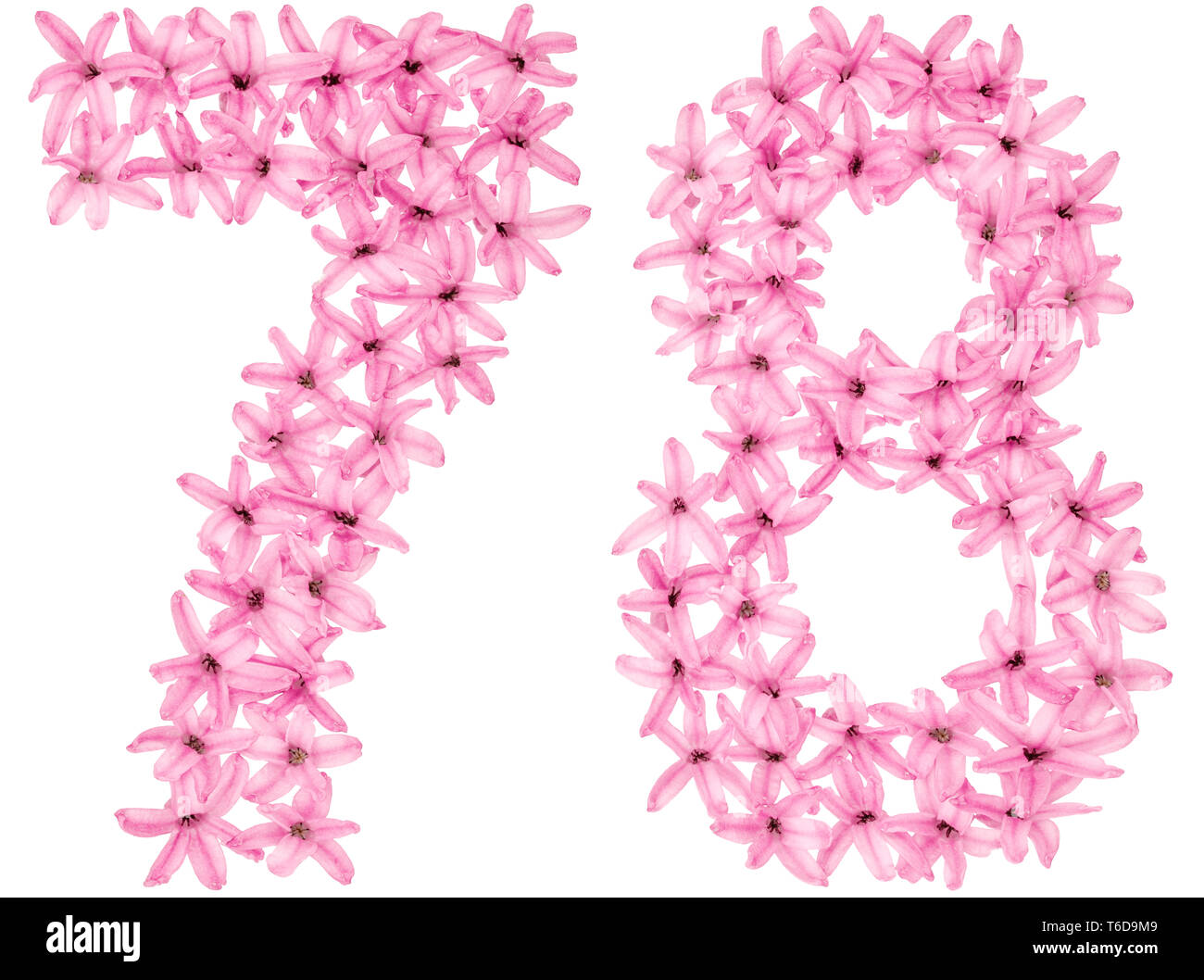 Numeral 78, seventy eight, from natural flowers of hyacinth, isolated ...