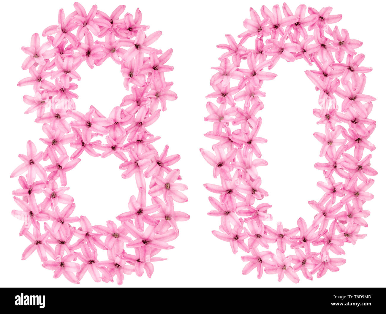 Numeral 80, eighty, eight, from natural flowers of hyacinth, isolated ...