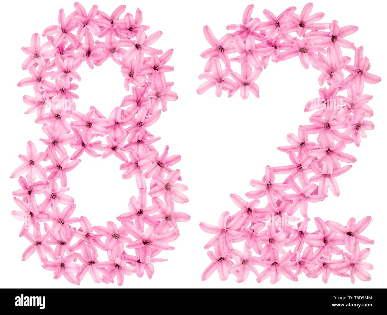Numeral 82, eighty two, from natural flowers of hyacinth, isolated on ...