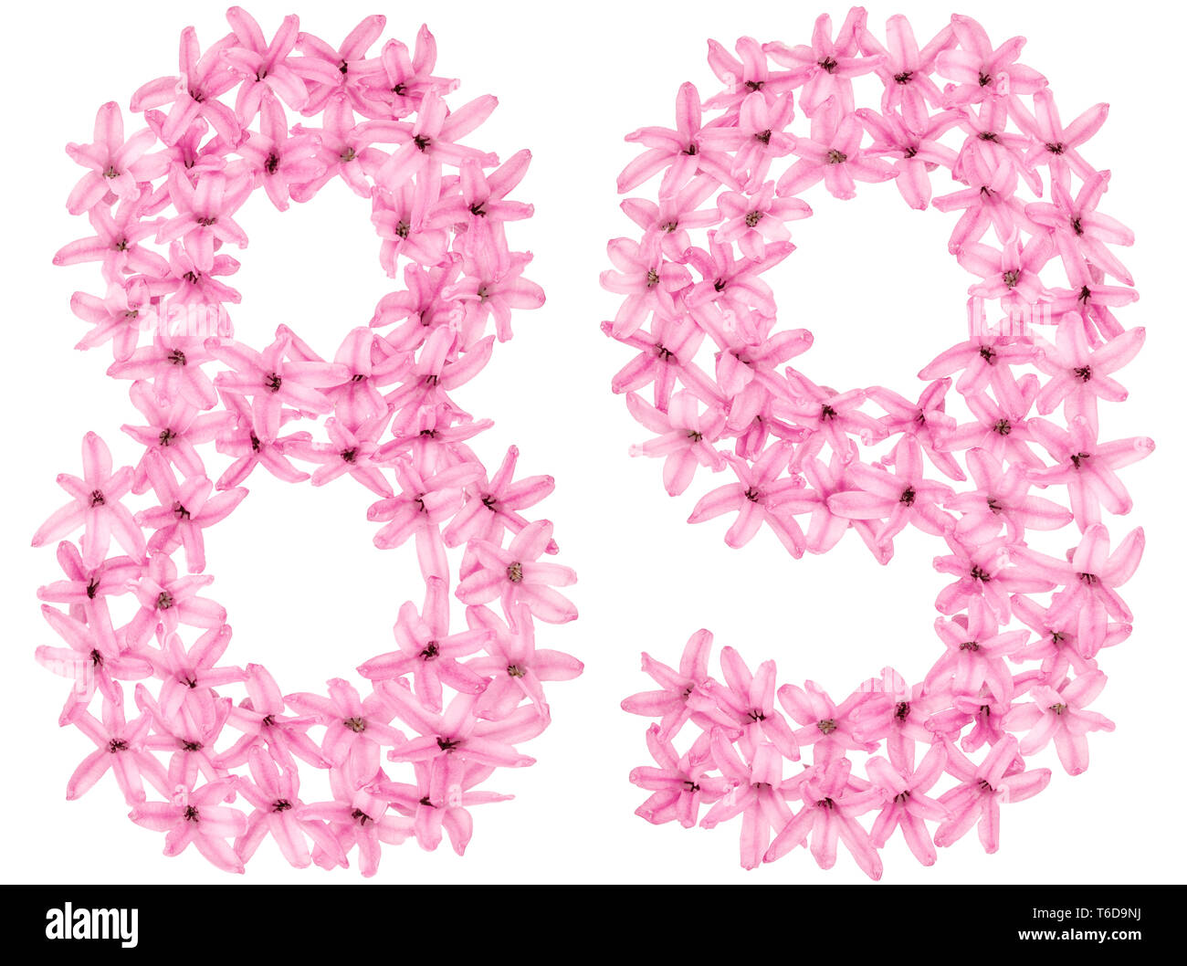 Numeral 89, eighty nine, from natural flowers of hyacinth, isolated on ...