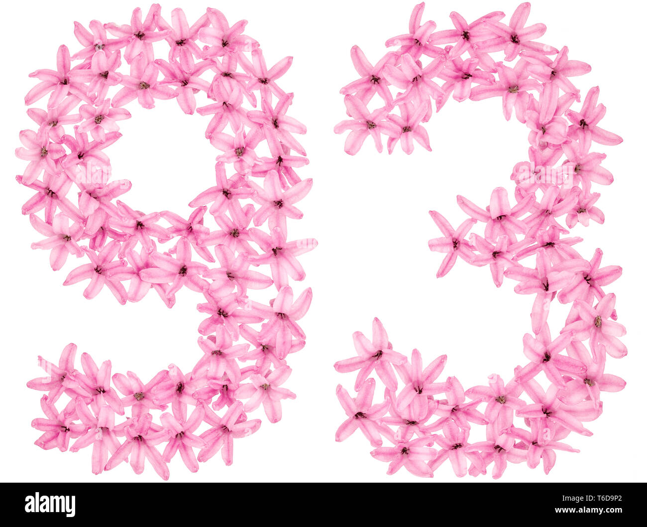 Numeral 93, ninety three, from natural flowers of hyacinth, isolated on ...