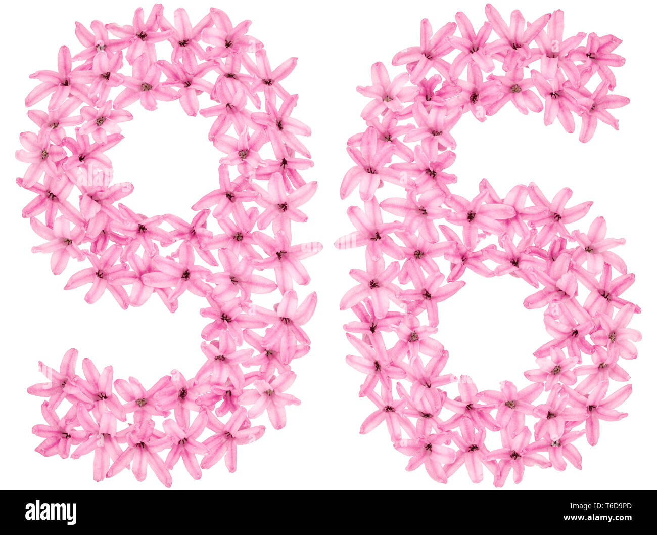 Numeral 96, ninety six, from natural flowers of hyacinth, isolated on ...