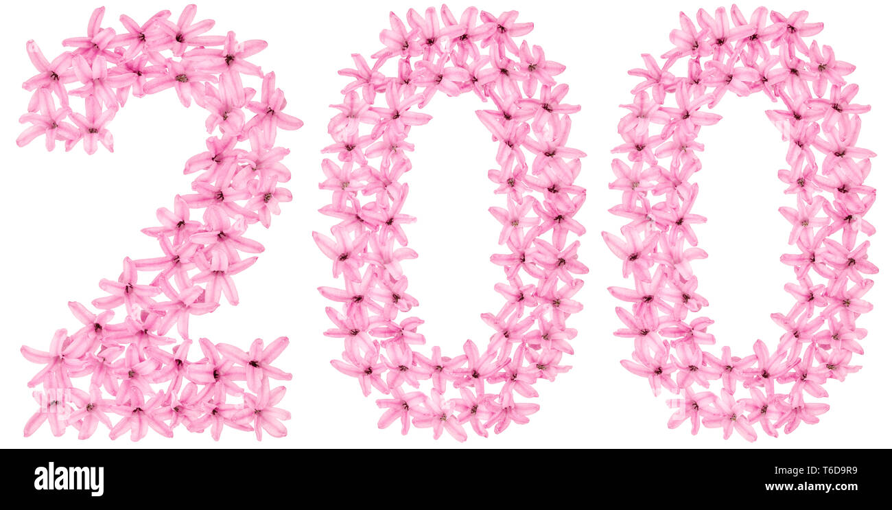 Numeral 200, two hundred, from natural flowers of hyacinth, isolated on ...