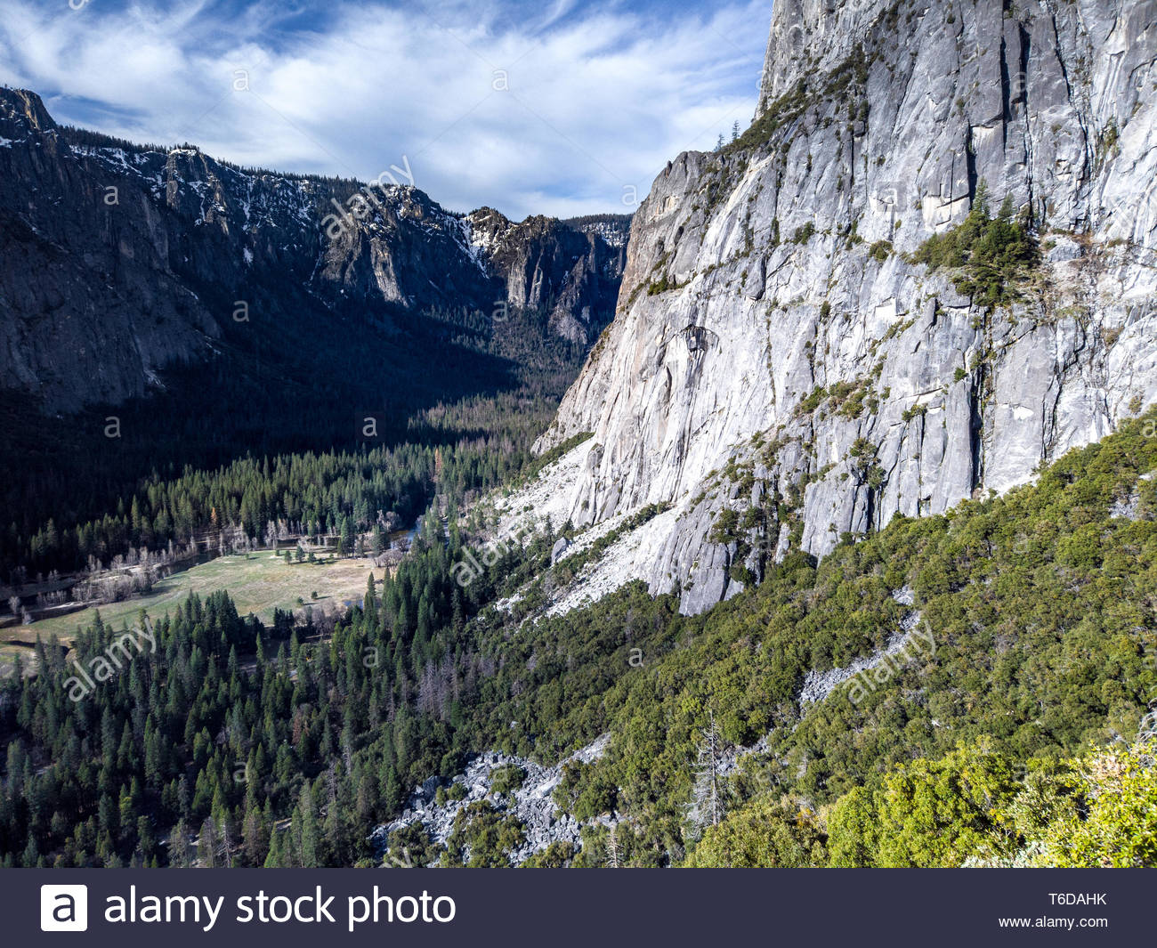 Temperate Evergreen Forest Mountain High Resolution Stock Photography ...