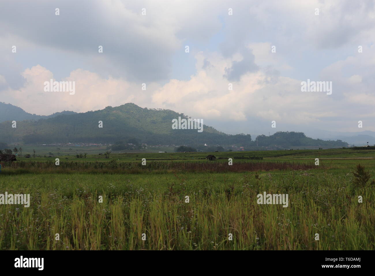 Rural atmosphere hi-res stock photography and images - Alamy