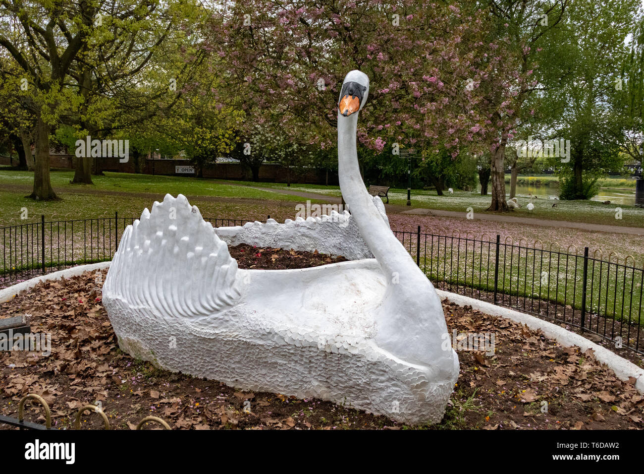 The iconic 1950's Ornamental Giant Swan Statue at Stapenhill Gardens on ...