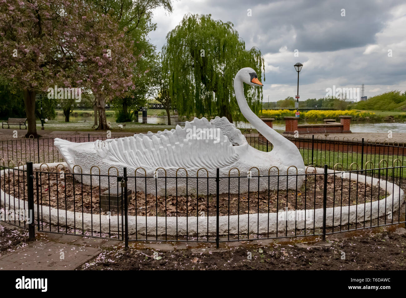 The iconic 1950's Ornamental Giant Swan Statue at Stapenhill Gardens on ...
