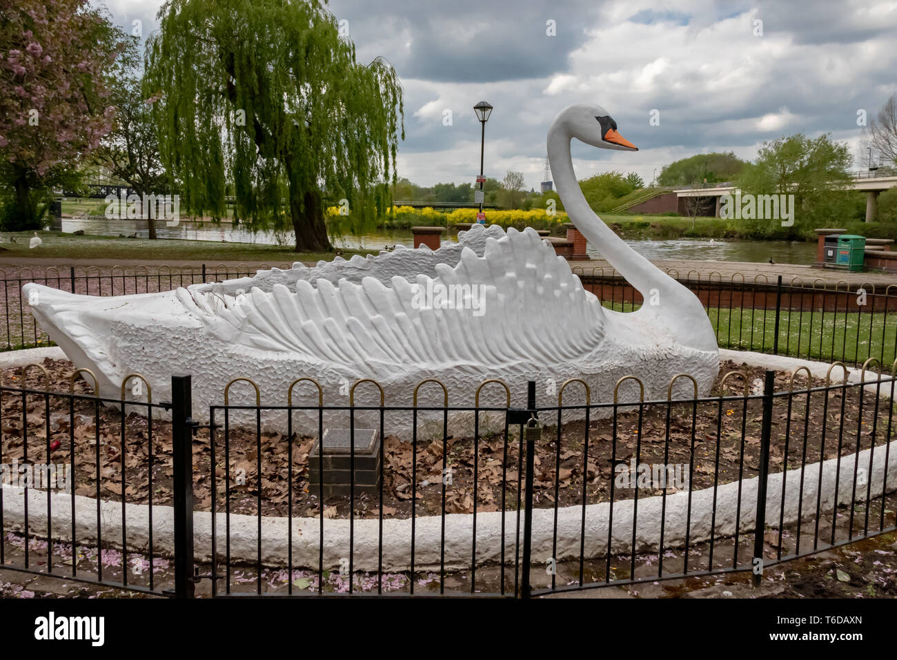 The iconic 1950's Ornamental Giant Swan Statue at Stapenhill Gardens on ...