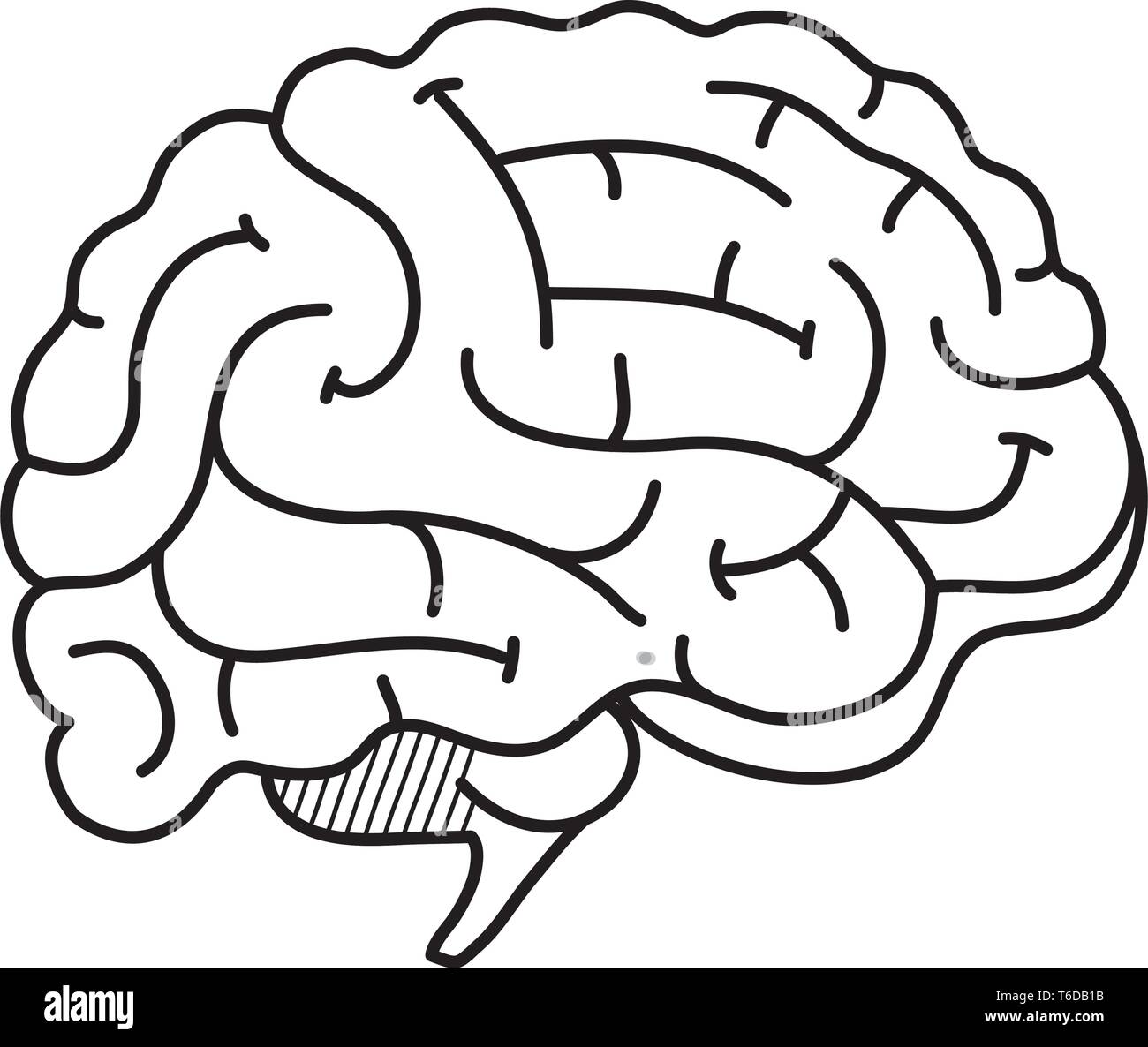 brain human organ icon Stock Vector Image & Art - Alamy