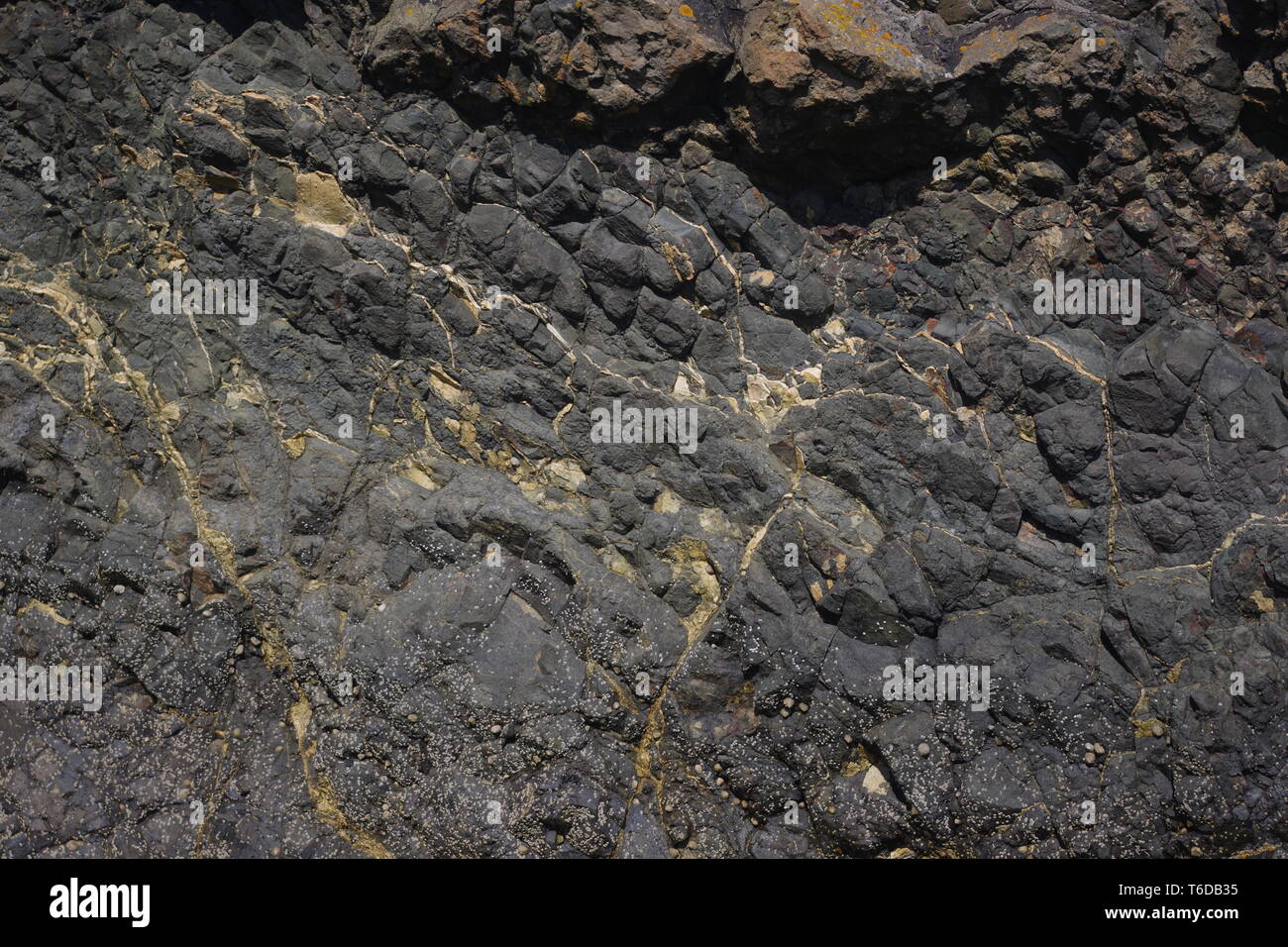 Intrusive Basalt Geology at St Monans, Fife, Scotland, UK. Natural ...