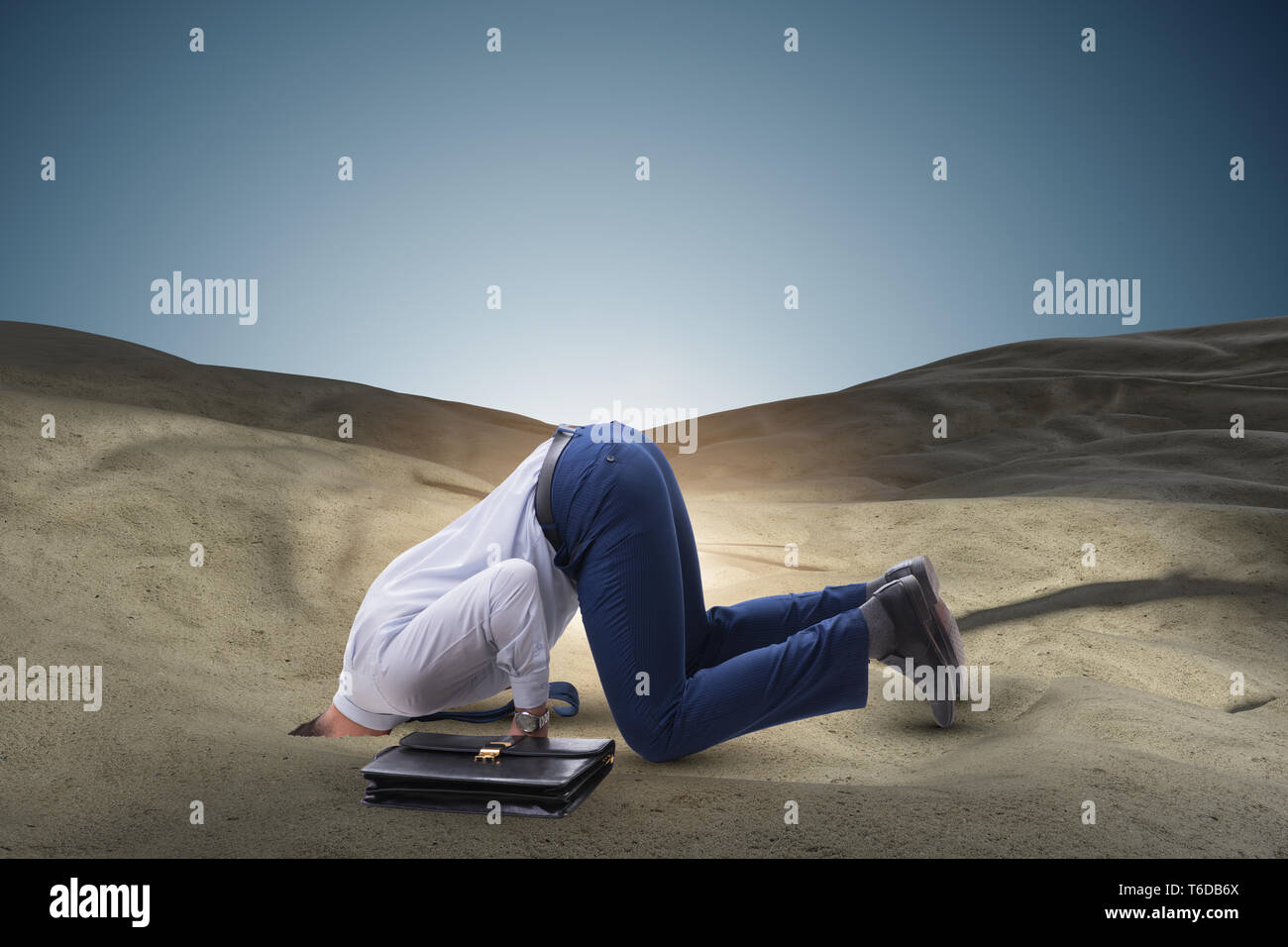 Ostrich hiding head in sand hi-res stock photography and images - Alamy