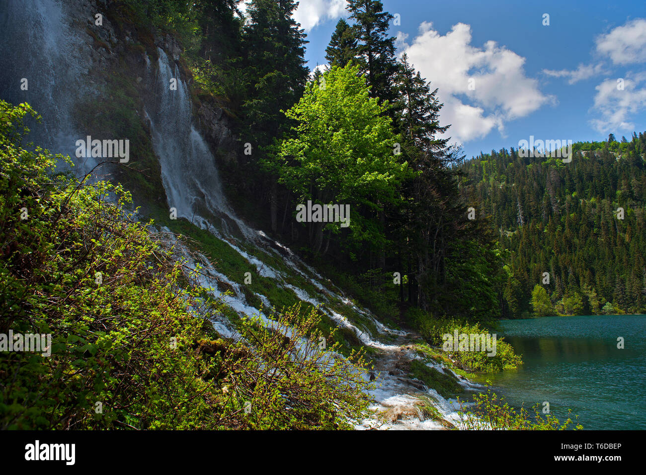 Crno jezero hi-res stock photography and images - Alamy