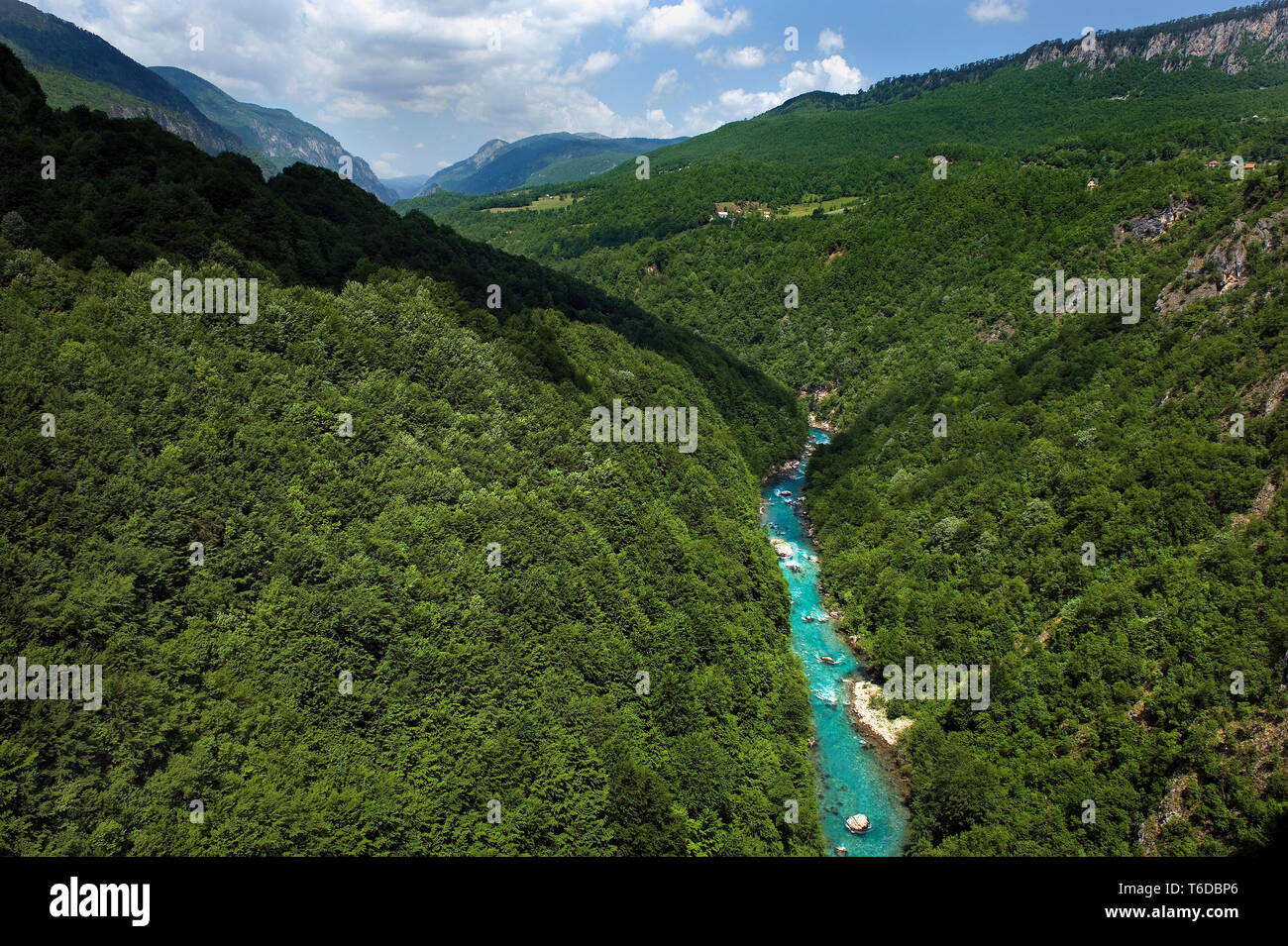 Tara river canyon hi-res stock photography and images - Alamy