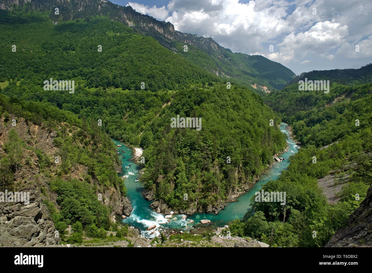 Beautiful view deepest tara river hi-res stock photography and images ...