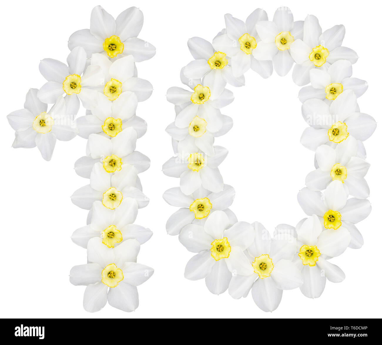 Numeral 10, ten, from natural white flowers of Daffodil (narcissus ...