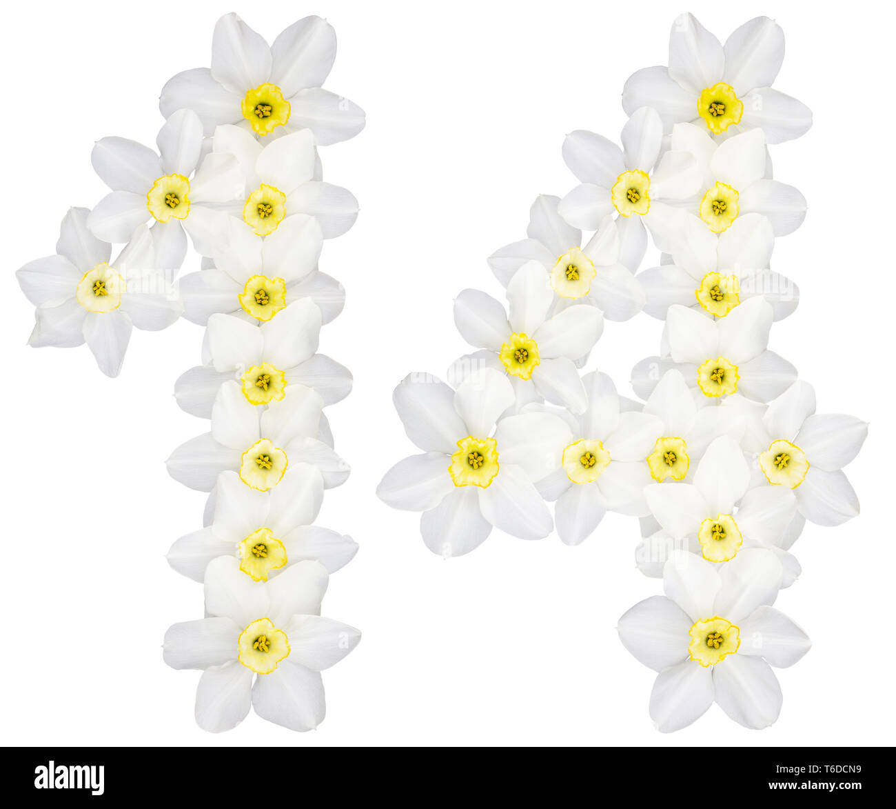 Numeral 14, fourteen, from natural white flowers of Daffodil (narcissus ...