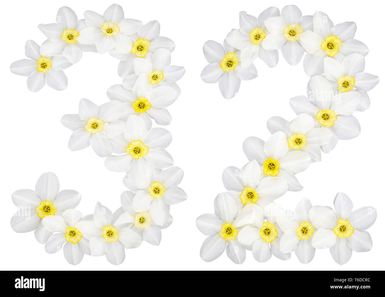 Numeral 32, thirty two, from natural white flowers of Daffodil ...