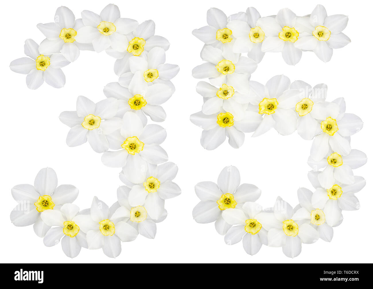 Numeral 35, thirty five, from natural white flowers of Daffodil ...