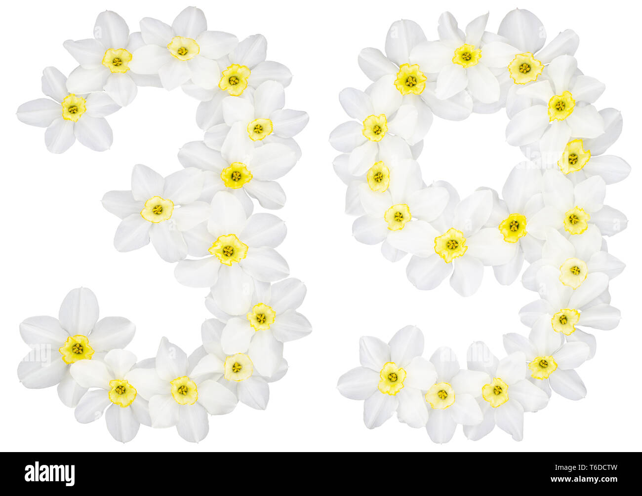 Numeral 39, thirty nine, from natural white flowers of Daffodil ...