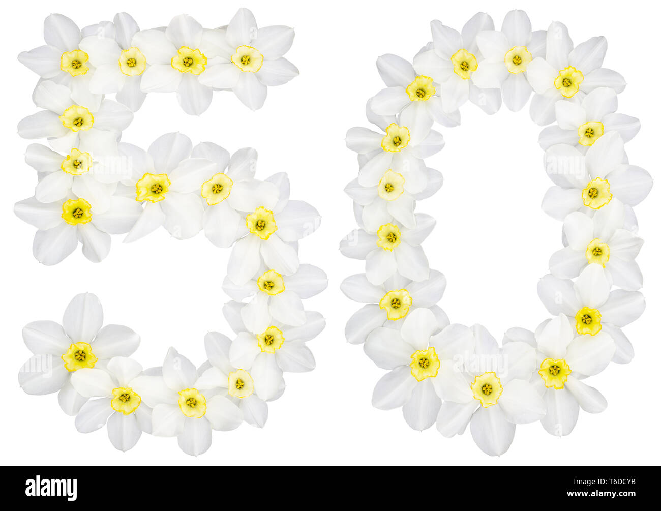 Numeral 50, fifty, from natural white flowers of Daffodil (narcissus ...