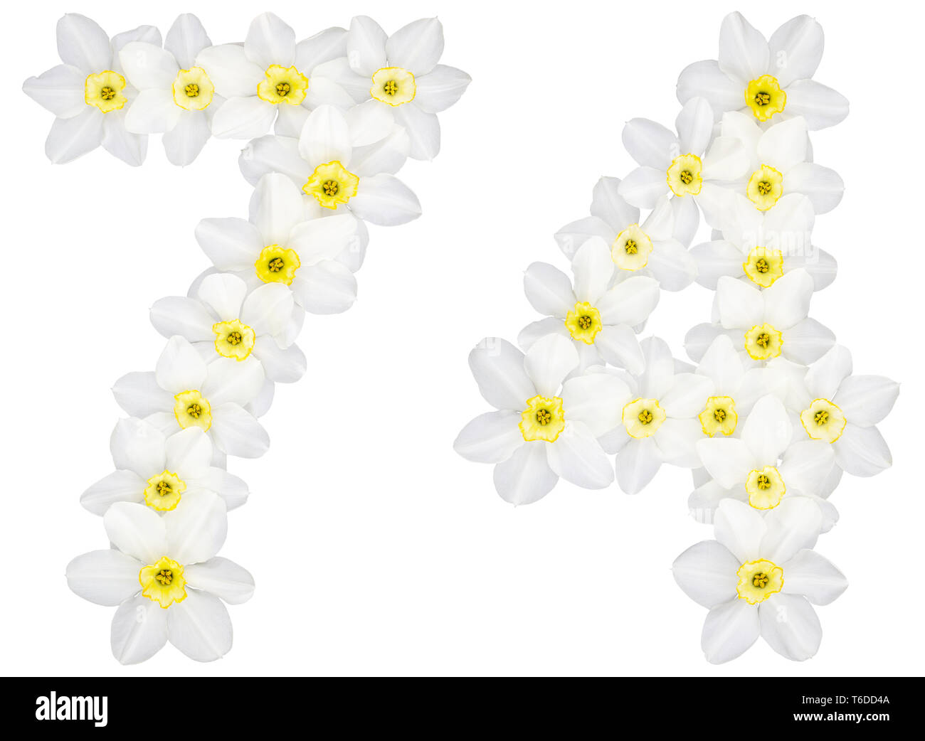 Numeral 74, seventy four, from natural white flowers of Daffodil ...