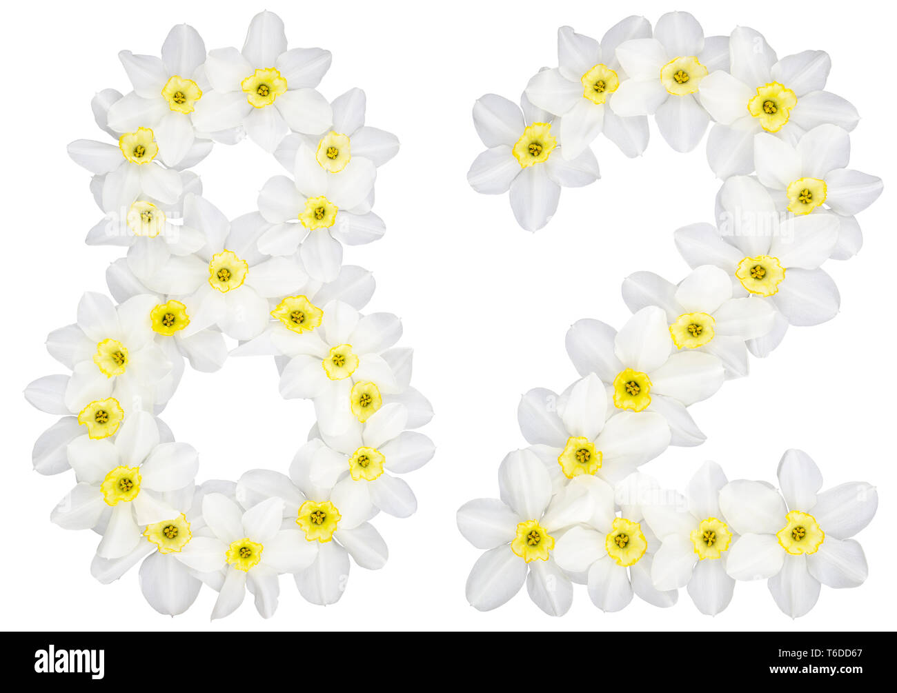 Numeral 82, eighty two, from natural white flowers of Daffodil ...