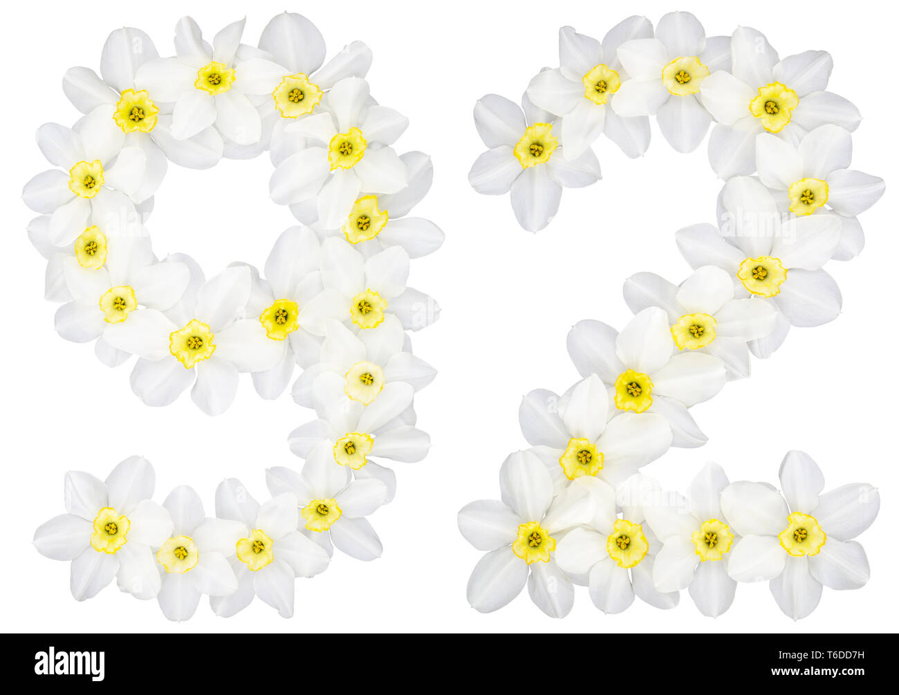 Numeral 92, ninety two, from natural white flowers of Daffodil ...