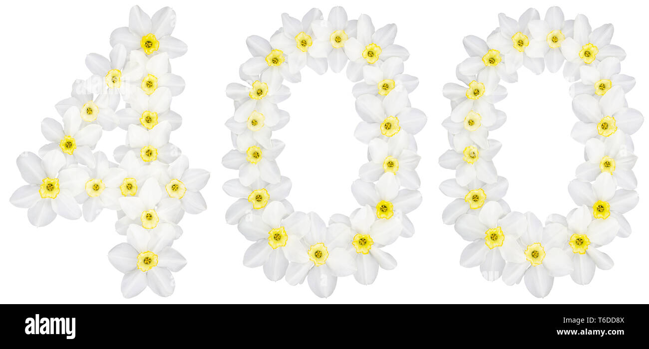 Numeral 400, four hundred, from natural white flowers of Daffodil ...