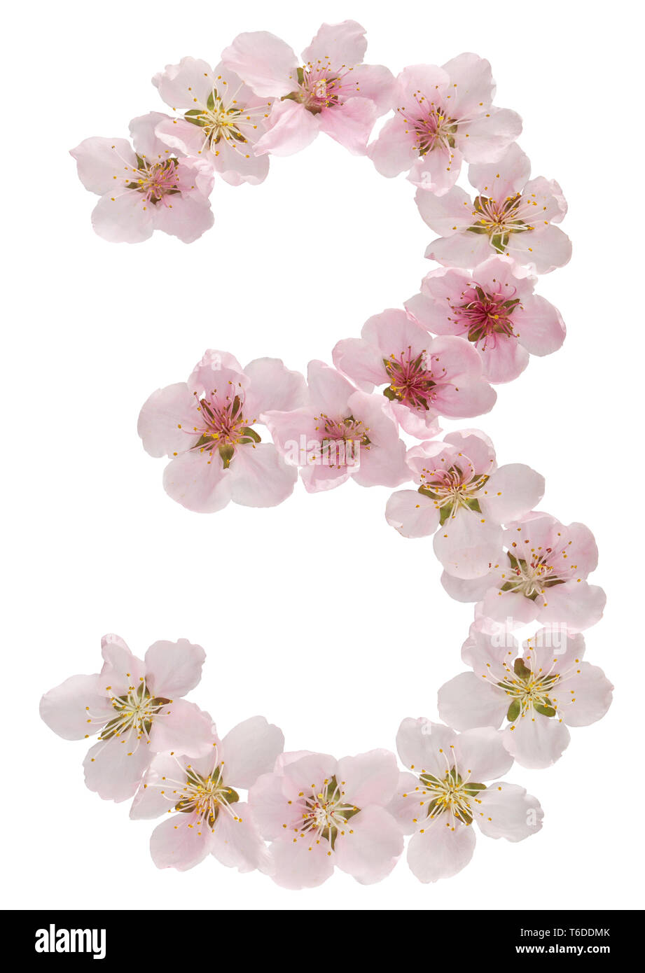 Numeral 3, three, from natural pink flowers of peach tree, isolated on ...