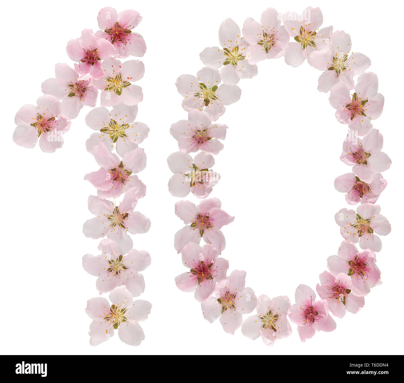 Numeral 10, ten, from natural pink flowers of peach tree, isolated on ...